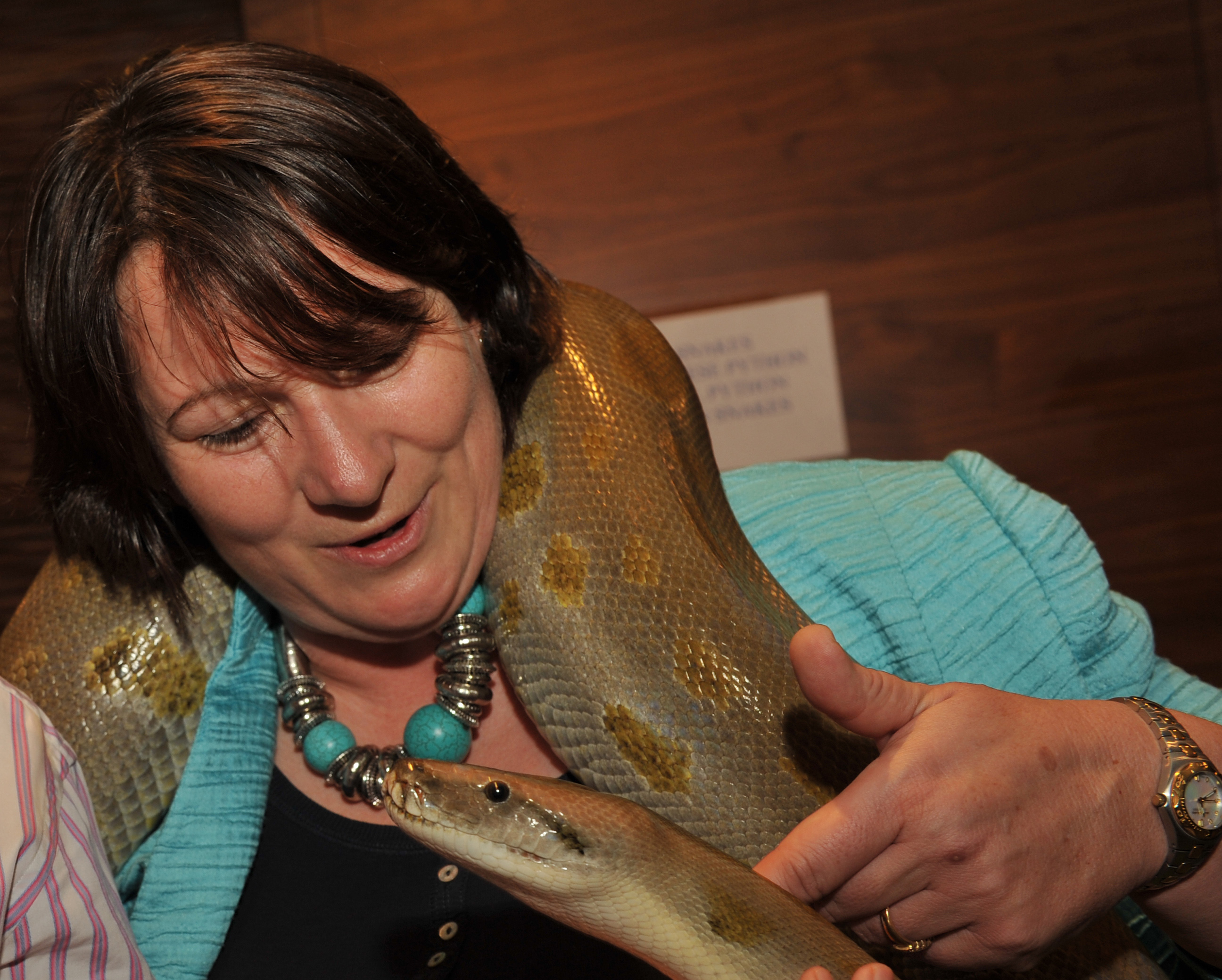 A snake and Francesca Lagerberg walked into a bar... - Accountancy Age