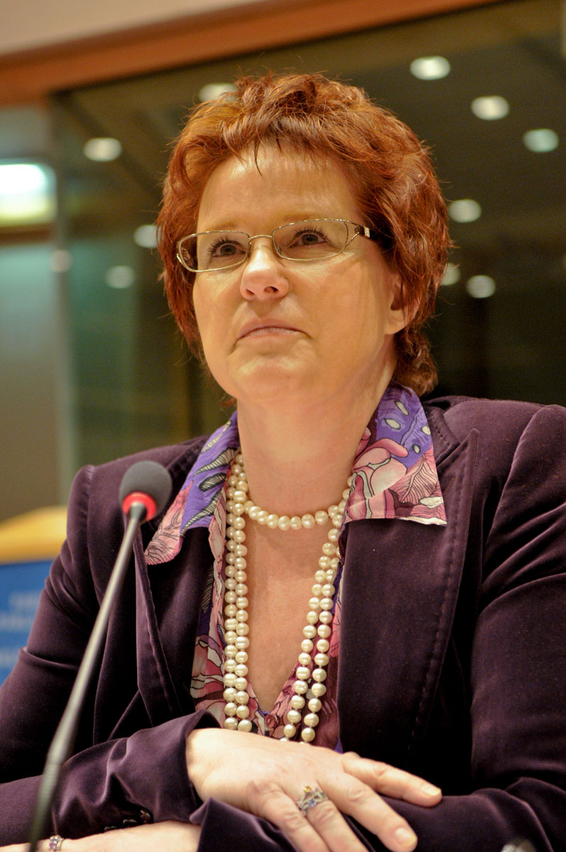 Interview: MEP Sharon Bowles, advocate for audit change - Accountancy Age